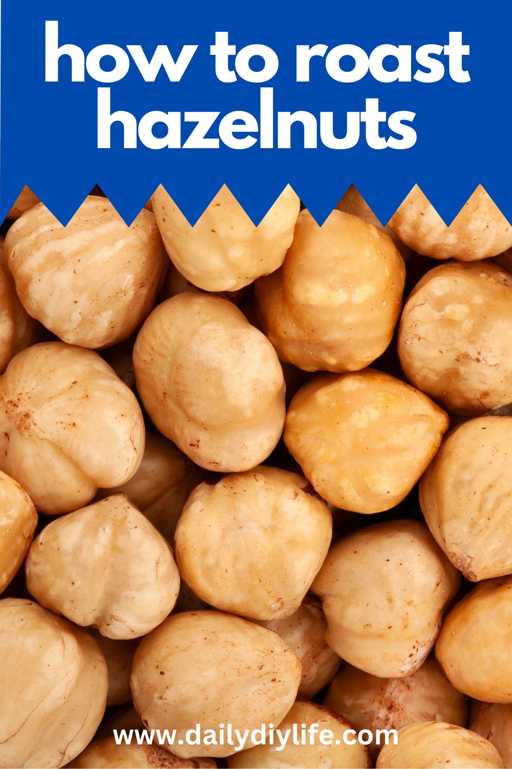 How to Roast Hazelnuts {in Oven, Stove, Air Fryer}